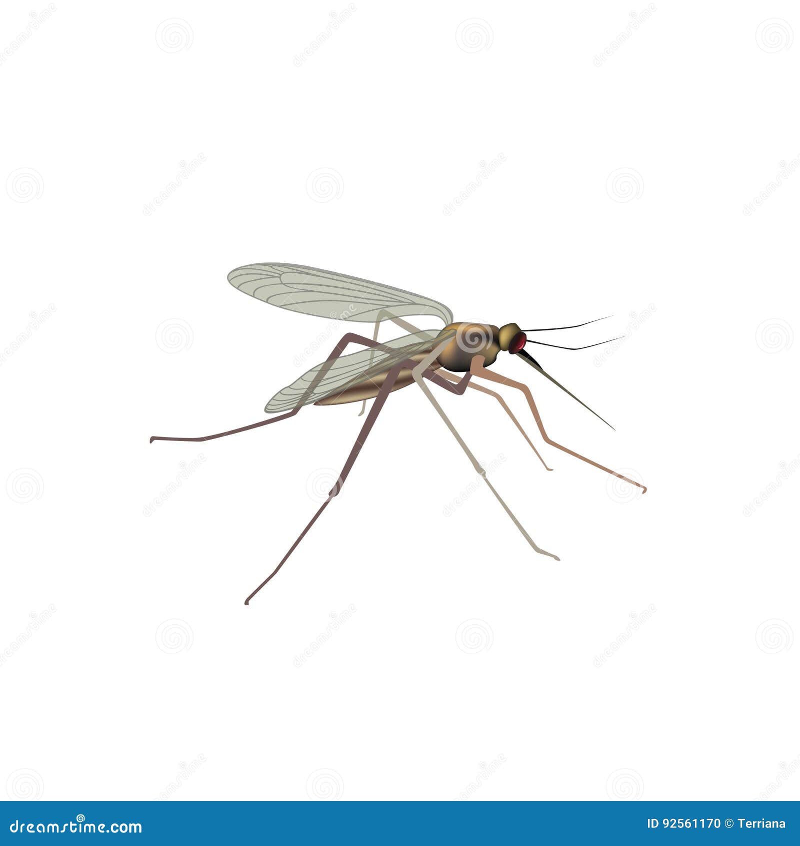 Gnat Cartoons, Illustrations & Vector Stock Images - 6109 Pictures to ...