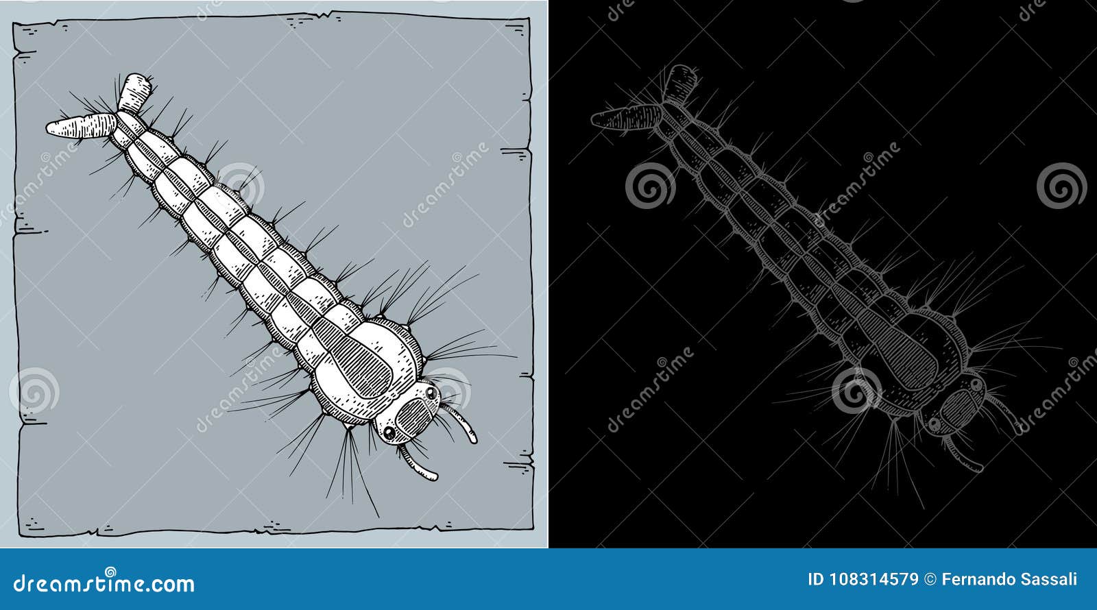 Mosquito larva stock vector. Illustration of nature - 108314579