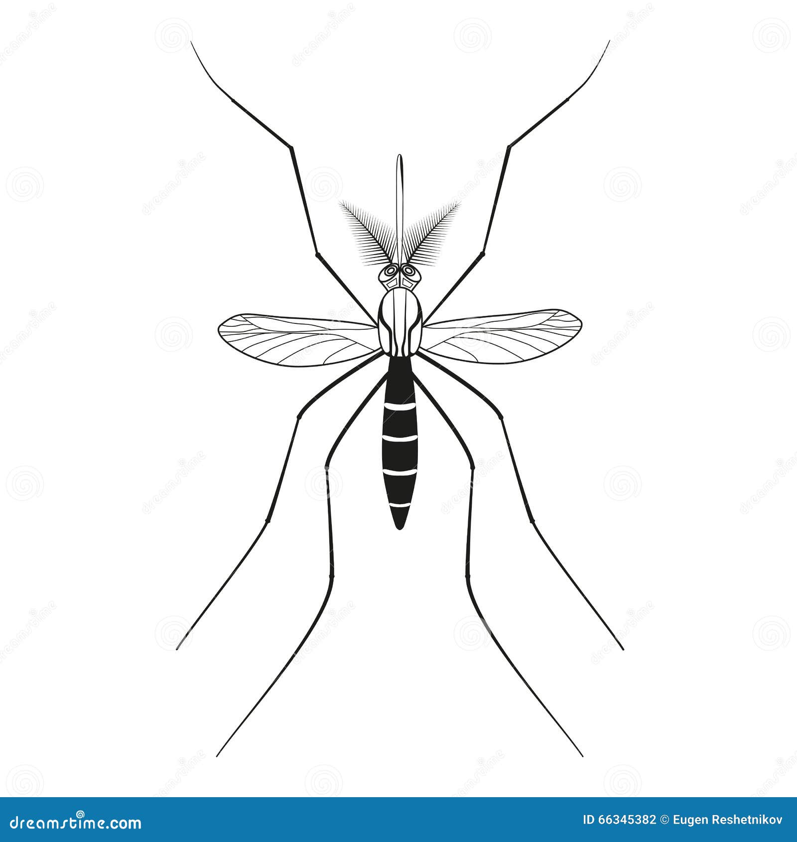 Malaria Virus Allert Vector Outline | CartoonDealer.com #70779538