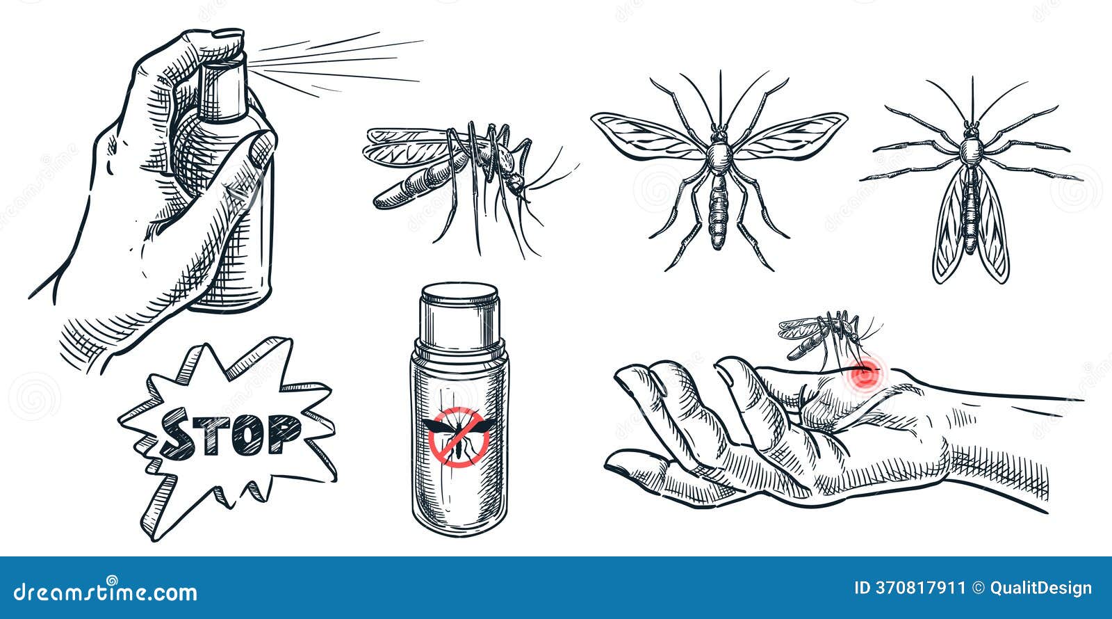 Mosquito. Sketch. A Blood-sucking Insect With A Pointed Proboscis ...