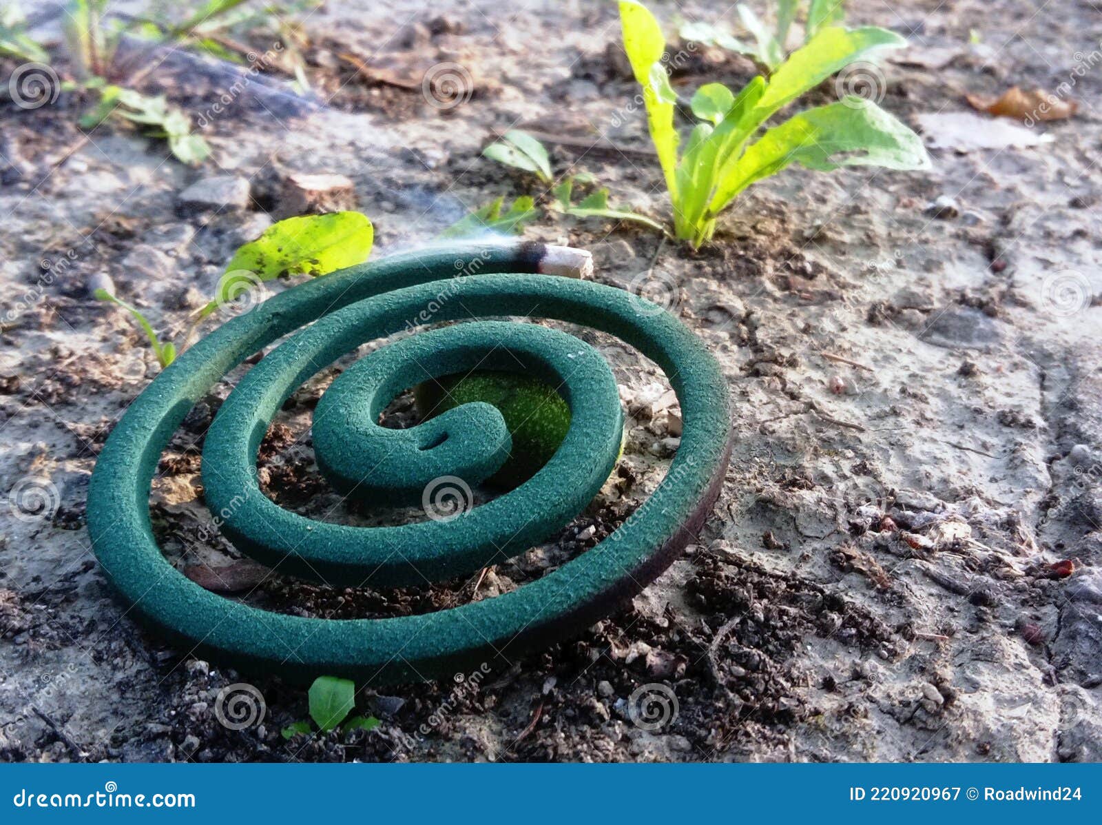 Mosquito repellent spiral stock image. Image of protection - 220920967
