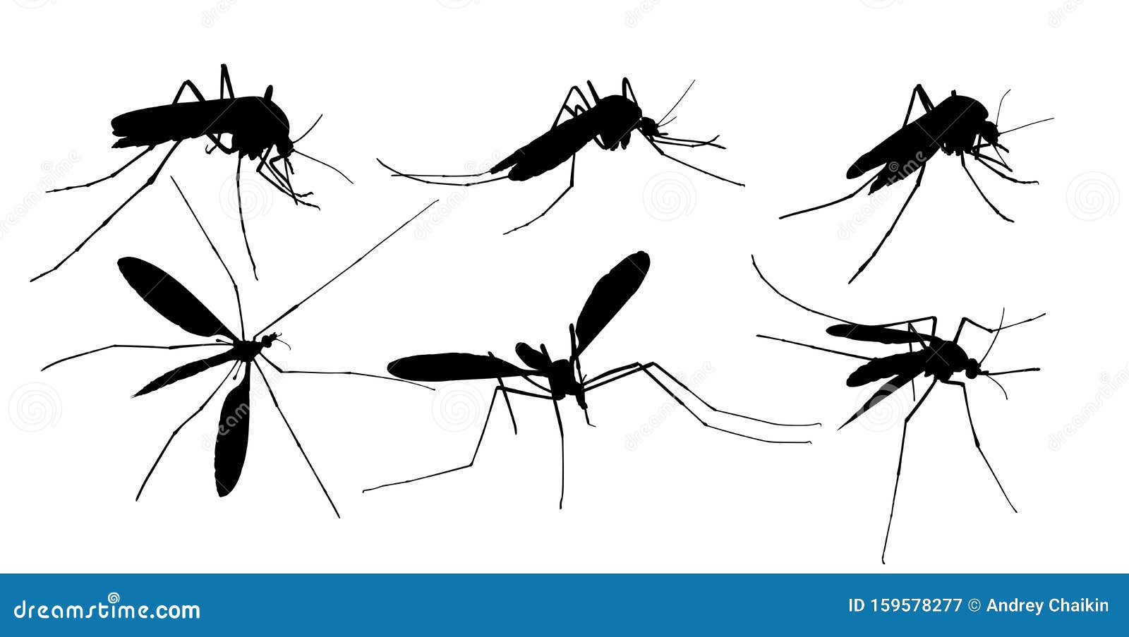 Mosquito silhouette set. stock vector. Illustration of black - 159578277
