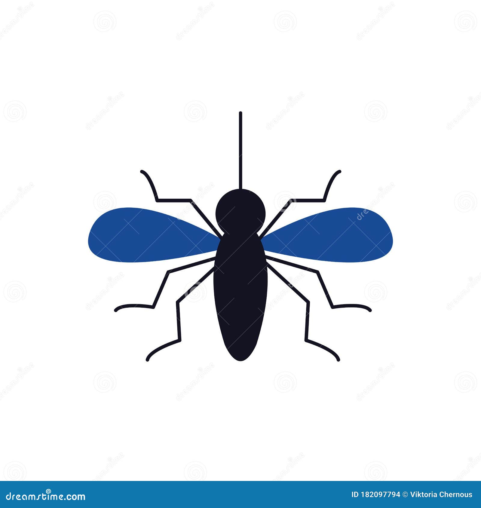 Mosquito Vector Illustration. Labeled Insects Species With Malaria ...