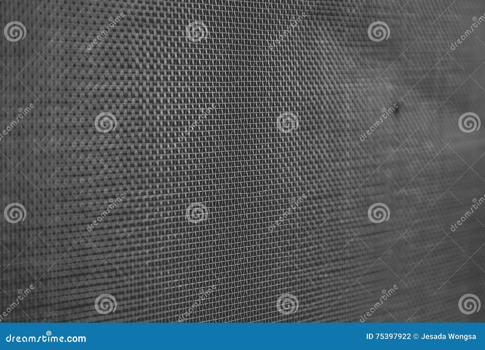 Mosquito Wire Net Screen Texture on the Window with Blurred Mosquito ...