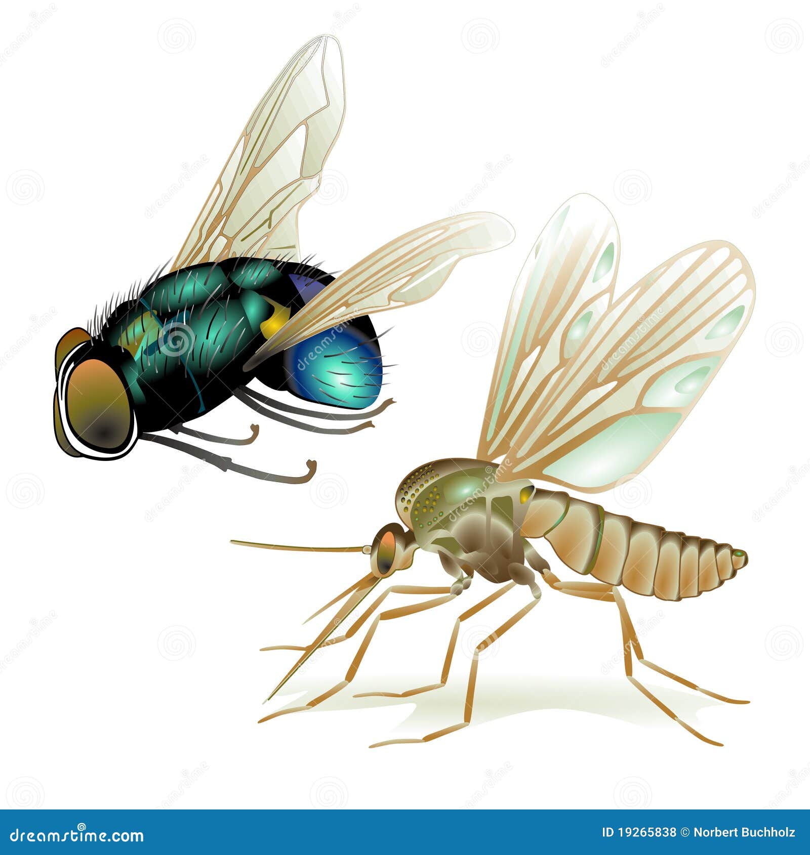 Mosquitos e moscas ilustração do vetor. Ilustração de mosca - 19265838