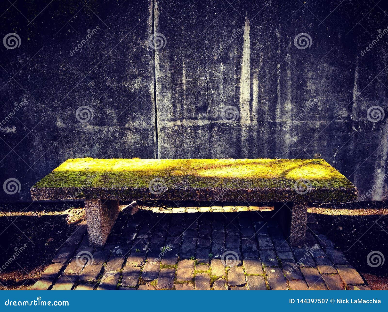 Moss Bench stock image. Image of sunshine, stone, bench - 144397507