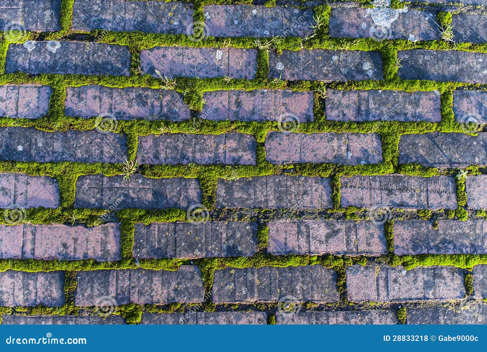 Moss brick texture stock photo. Image of abstract, bricks - 28833218