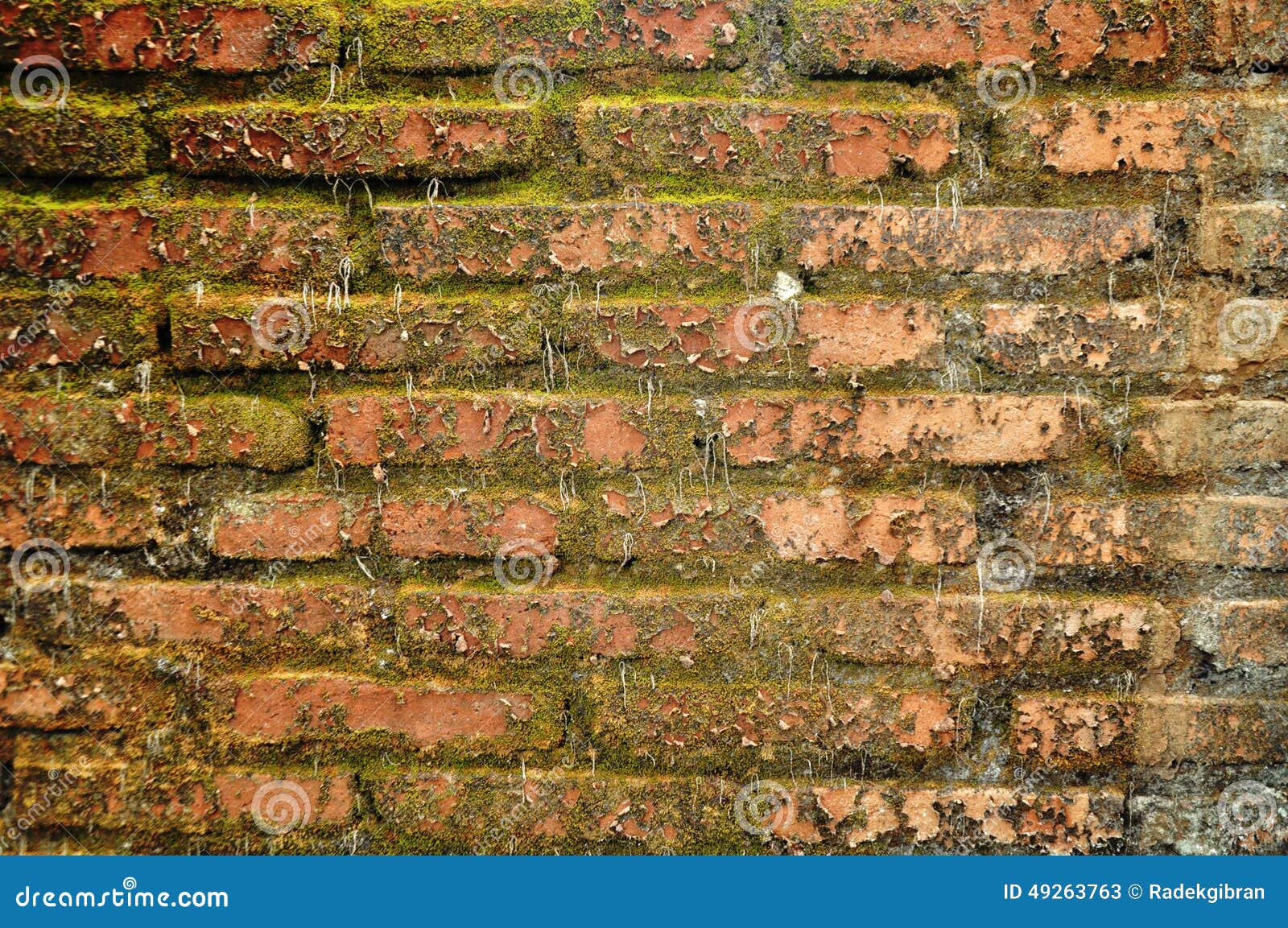 Moss Brick Wall Texture Grunge Abstract & Backgrounds Stock Image ...