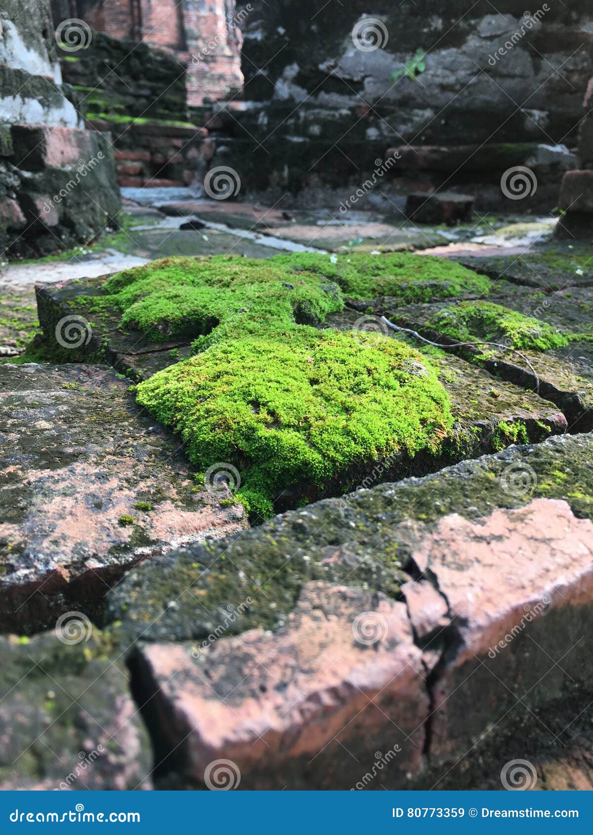 Moss on Bricks at the Ancient. Stock Image - Image of moss, bricks ...