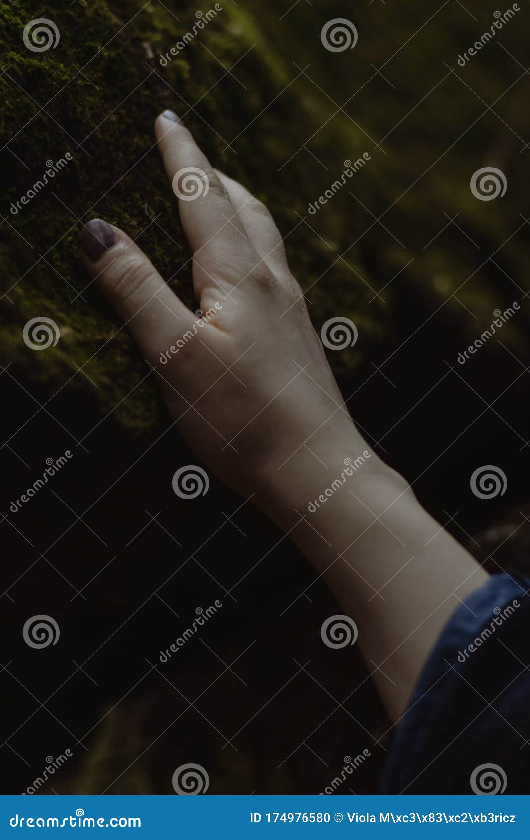 Hand stock photo. Image of moss, hand, stone, caress - 174976580