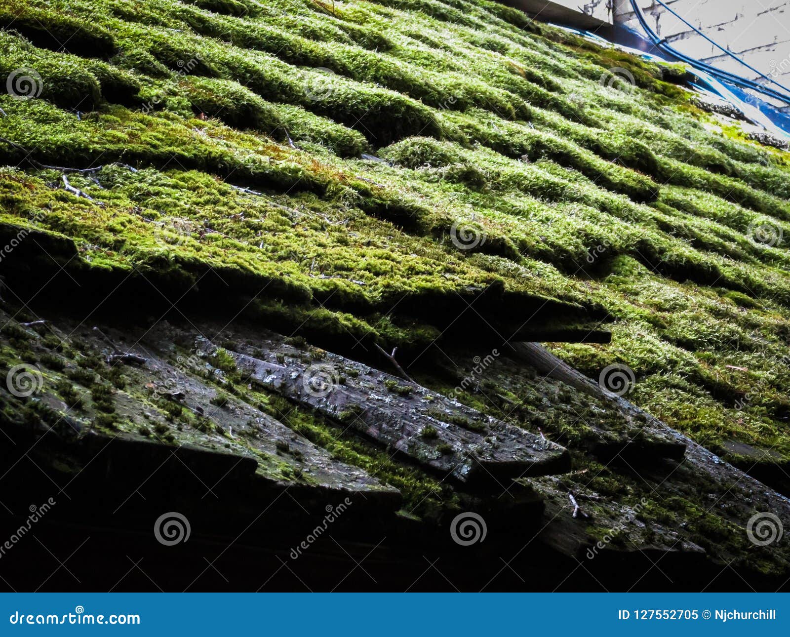 Moss on cedar roof stock image. Image of house, lights - 127552705