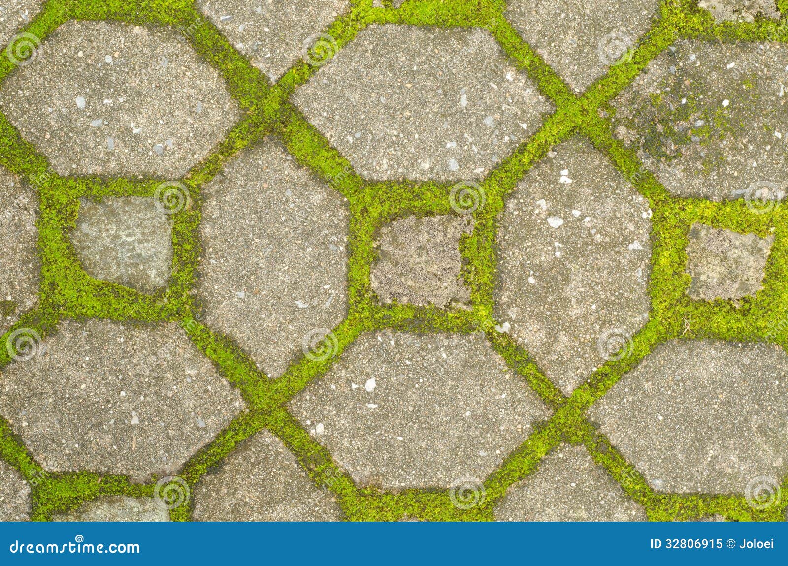 Moss on cement pathway stock image. Image of nature, cement - 32806915