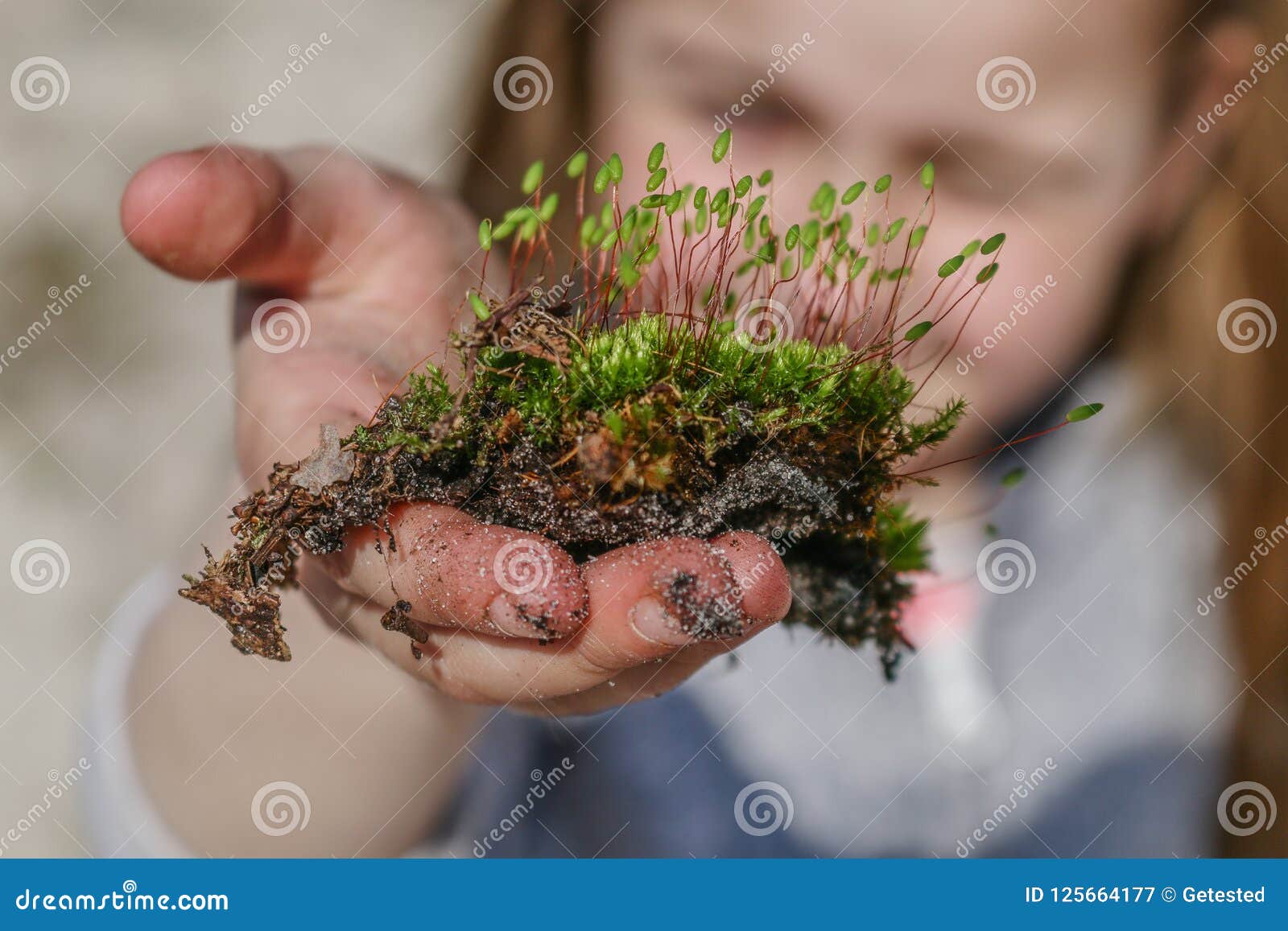 Moss in a child`s hand stock image. Image of poster - 125664177