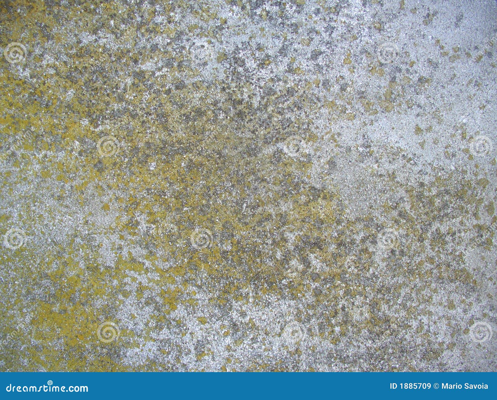 Moss On Concrete Wall Sand And Stone Texture Background Royalty-Free ...