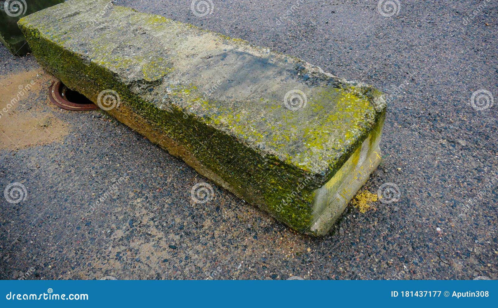Moss Concrete Slab on Asphalt Stock Image - Image of green, blue: 181437177