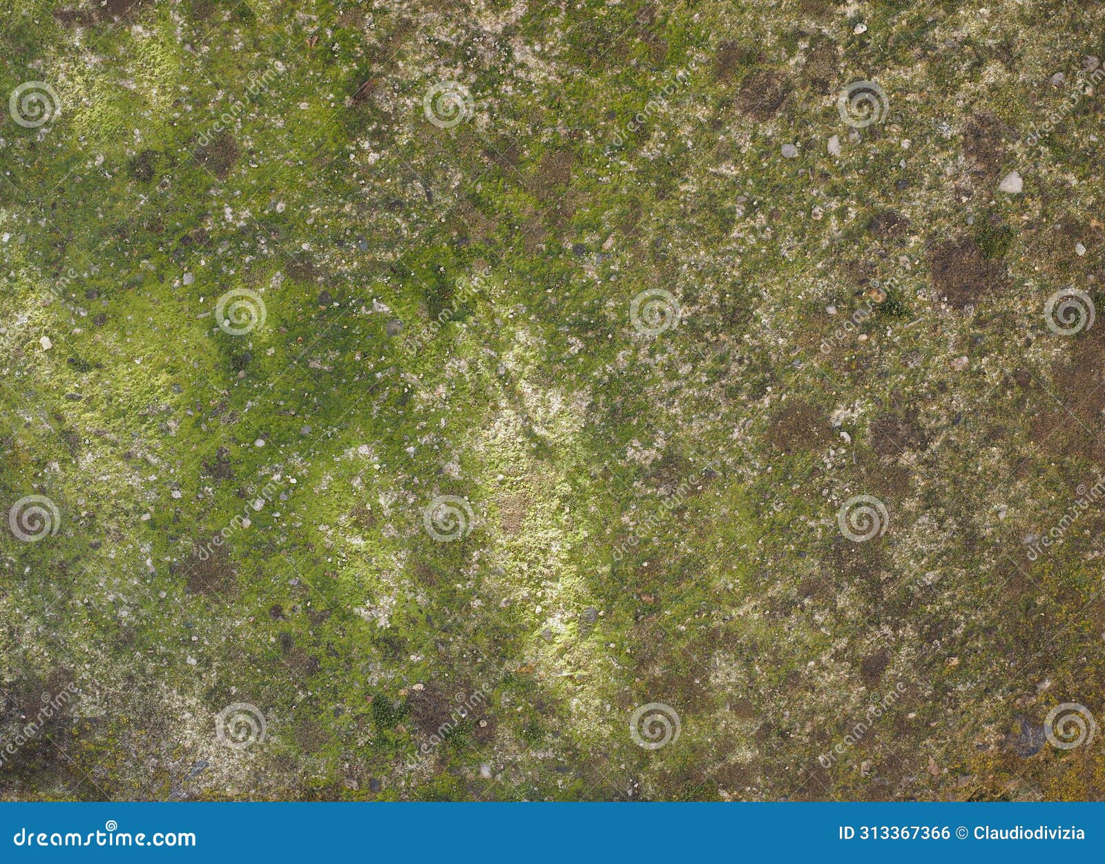 Moss on Concrete Texture Background Stock Photo - Image of texture ...