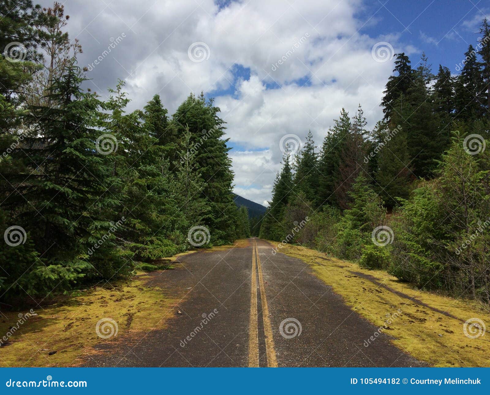 Old Abandoned Highway Motel Sign Royalty-Free Stock Photography ...