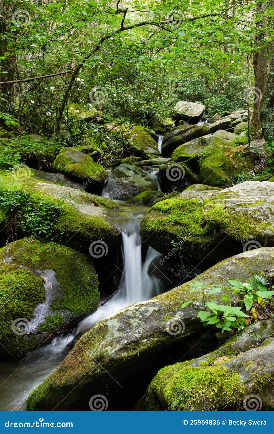 Moss Covered Boulders stock photo. Image of scenery, natural - 25969836