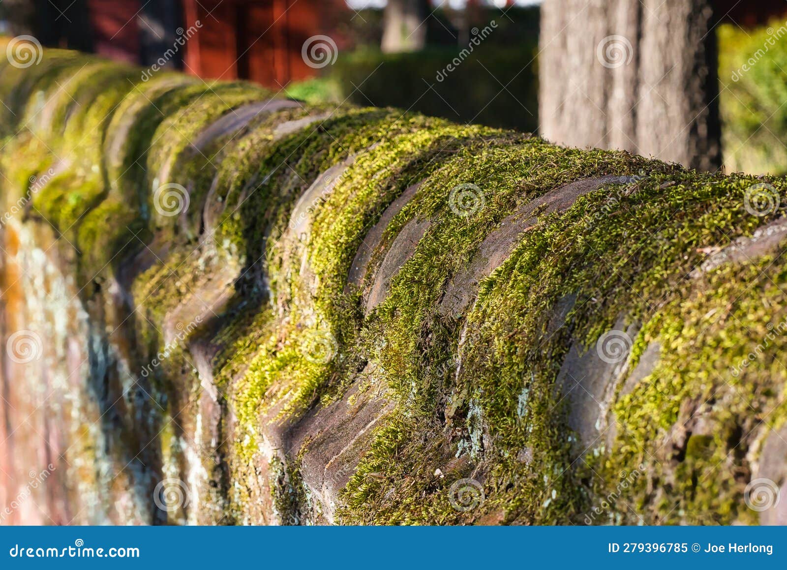 A moss covered brick wall. stock image. Image of autumn - 279396785
