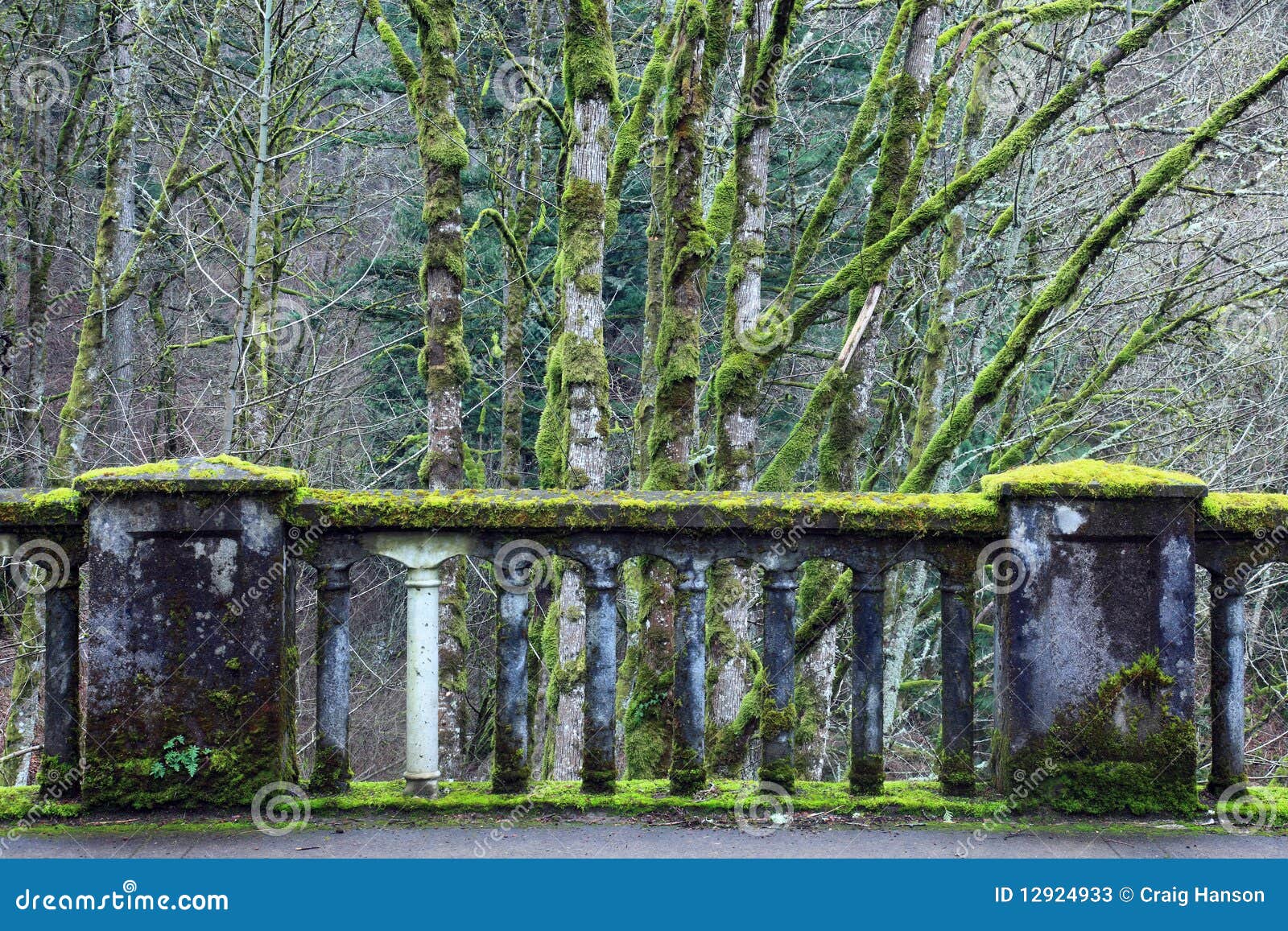 Moss Covered Bridge stock image. Image of arch, stone - 12924933