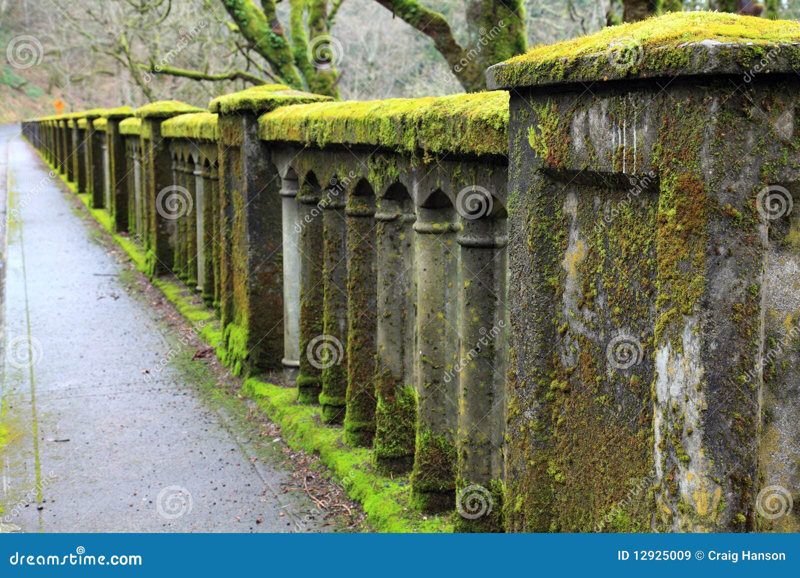 Moss Covered Bridge stock image. Image of highway, forest - 12925009