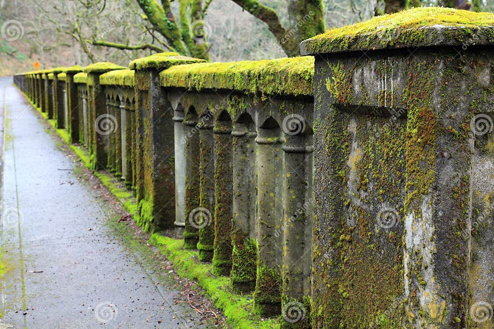 Moss Covered Bridge stock image. Image of highway, forest - 12925009
