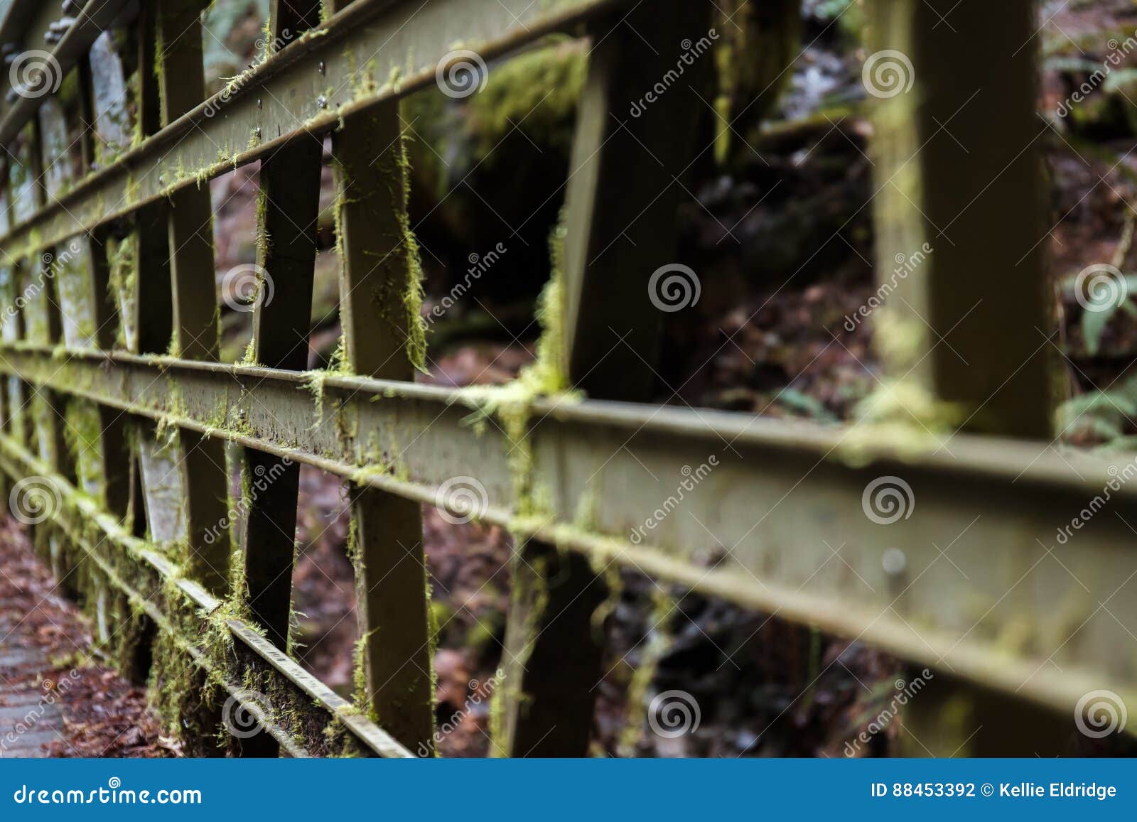 Moss Covered Bridge Closeup Stock Photo - Image of background, nature ...