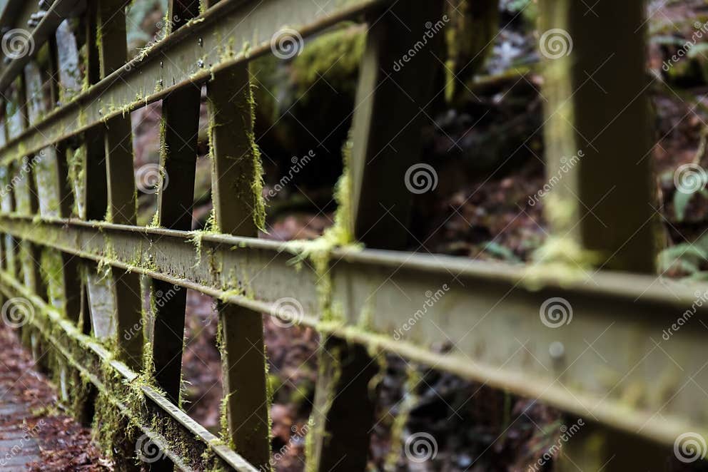 Moss Covered Bridge Closeup Stock Photo - Image of background, nature ...