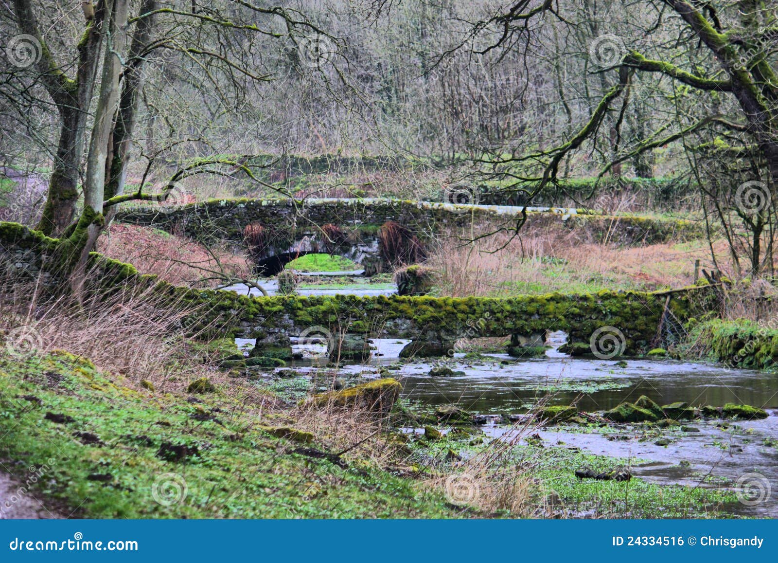 Moss Covered Bridges Over A Small River Picture. Image: 24334516