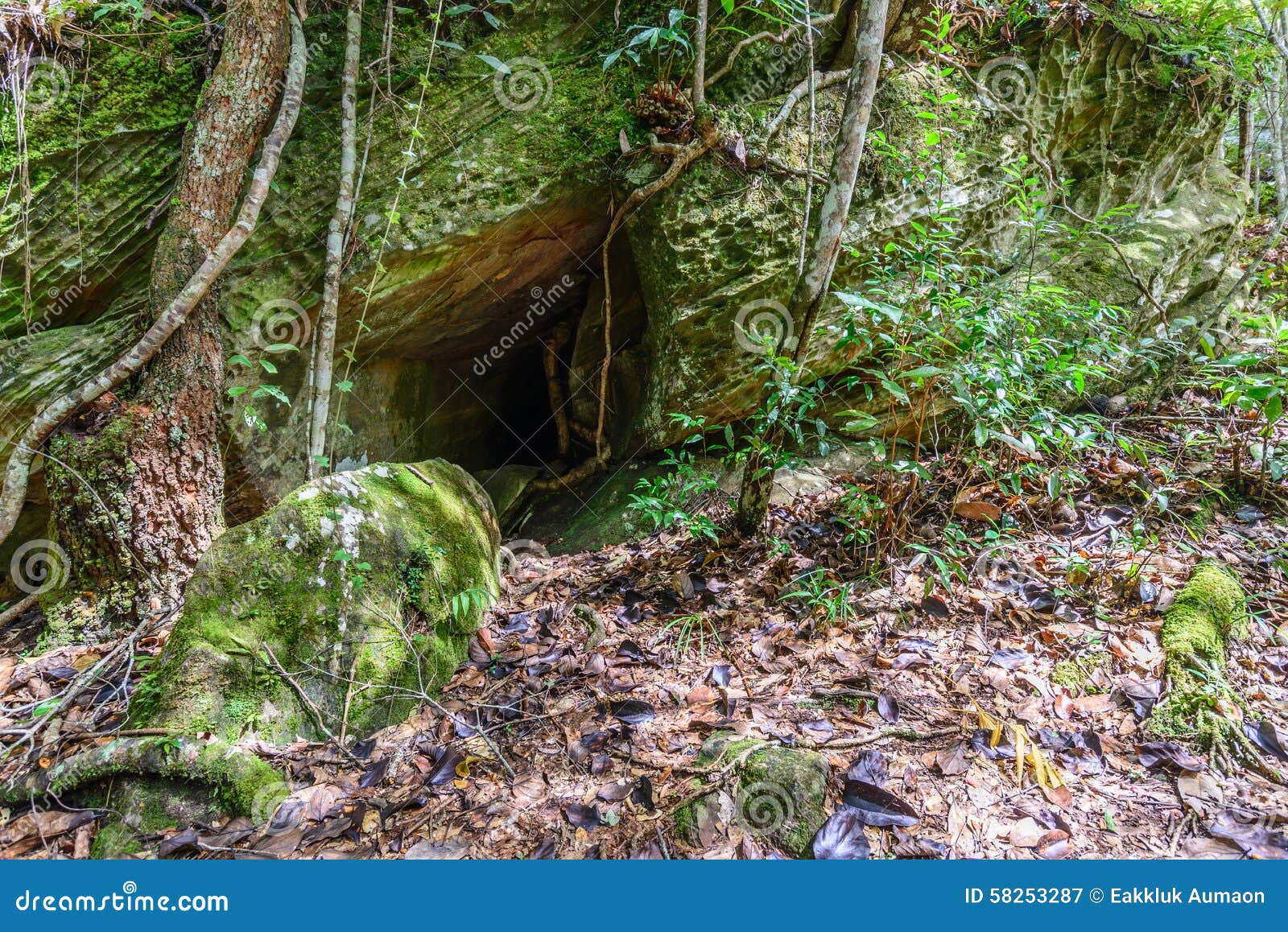 Moss Covered of Cave in Rainforest Stock Image - Image of outside ...