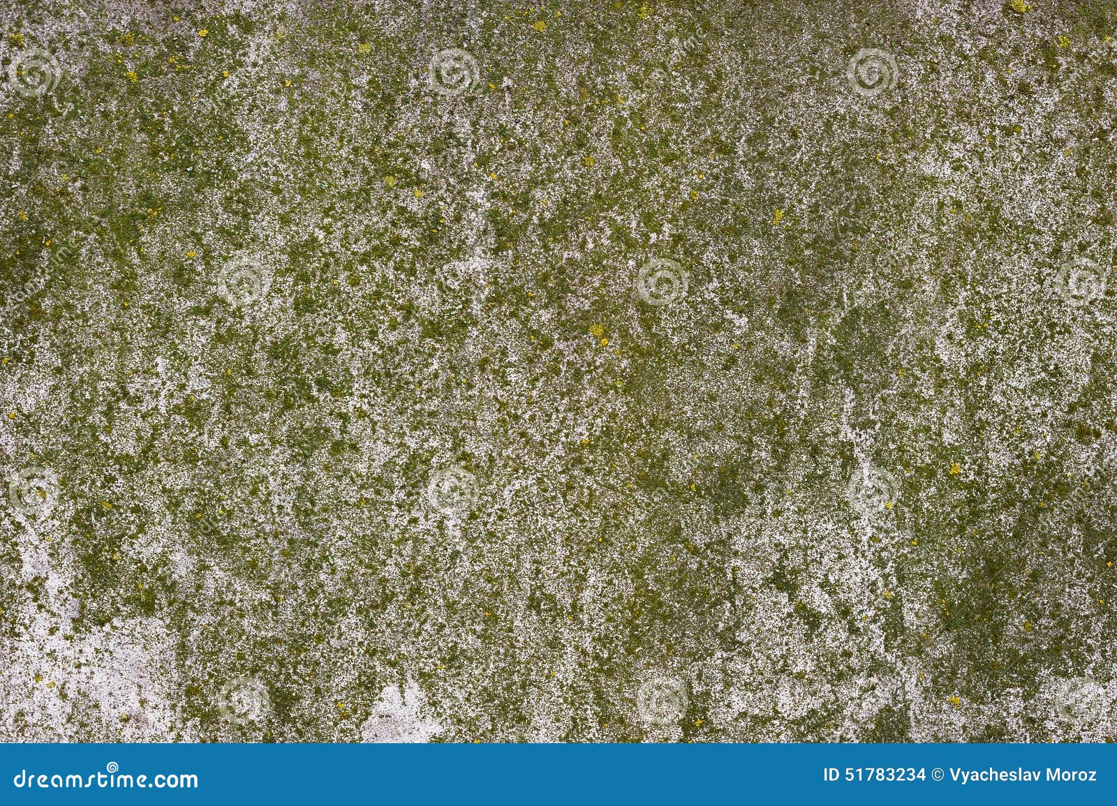 Moss Covered Concrete Wall stock photo. Image of peeled - 51783234