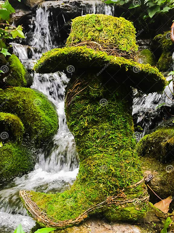 Moss Covered Cowboy Boot and Hat Stock Photo - Image of western, lush ...