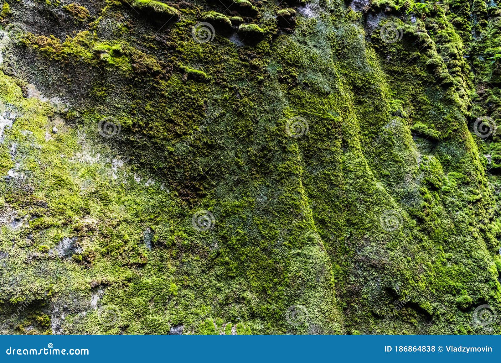 Moss Covered Rock on a Close Up Shot Stock Photo - Image of stone, rock ...
