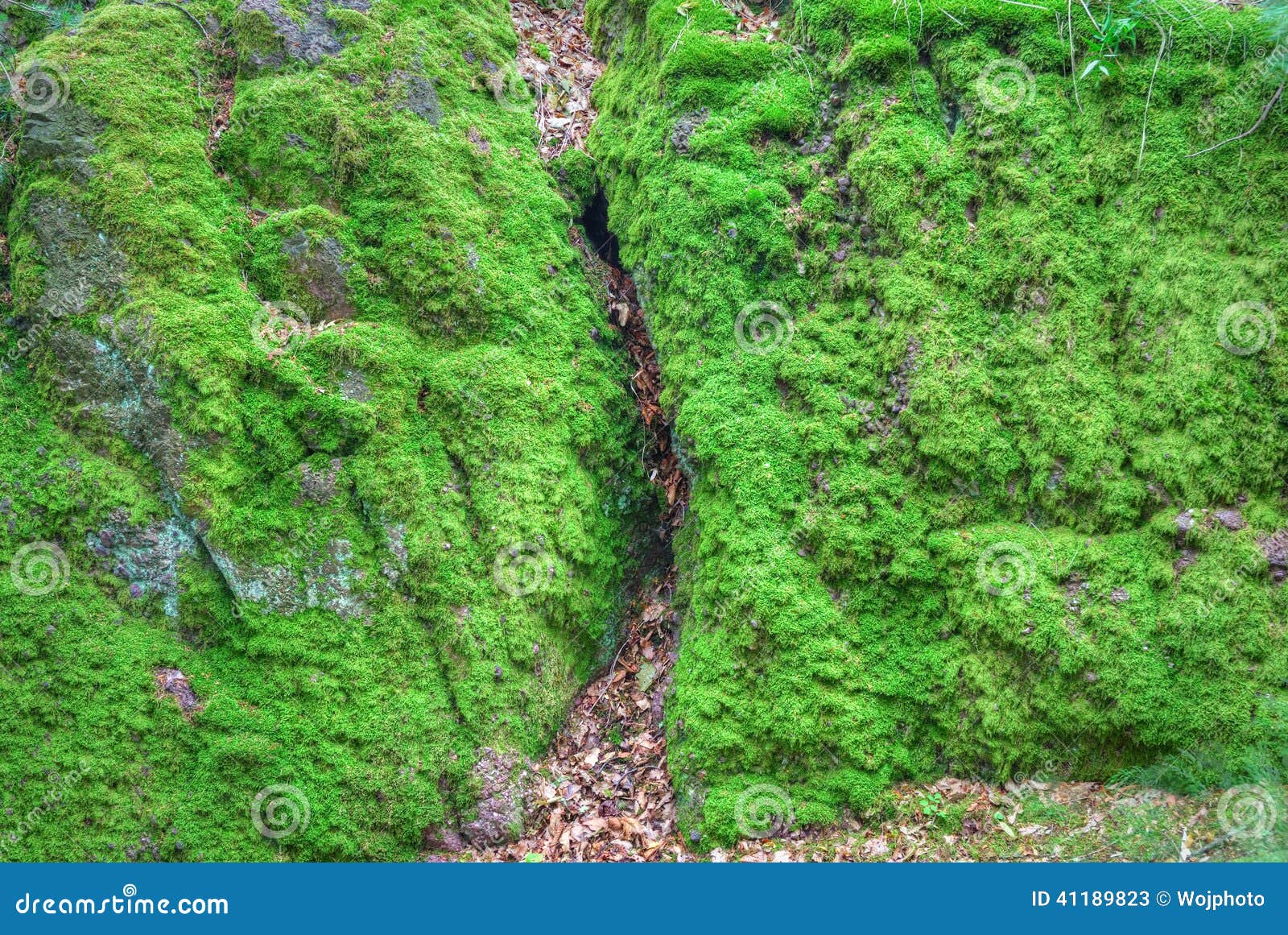 Moss covered rock stock image. Image of grass, erosion - 41189823