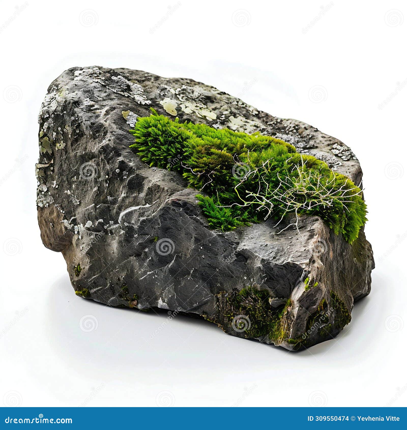Moss-Covered Rock Isolated on White Background. Generative Ai Stock ...