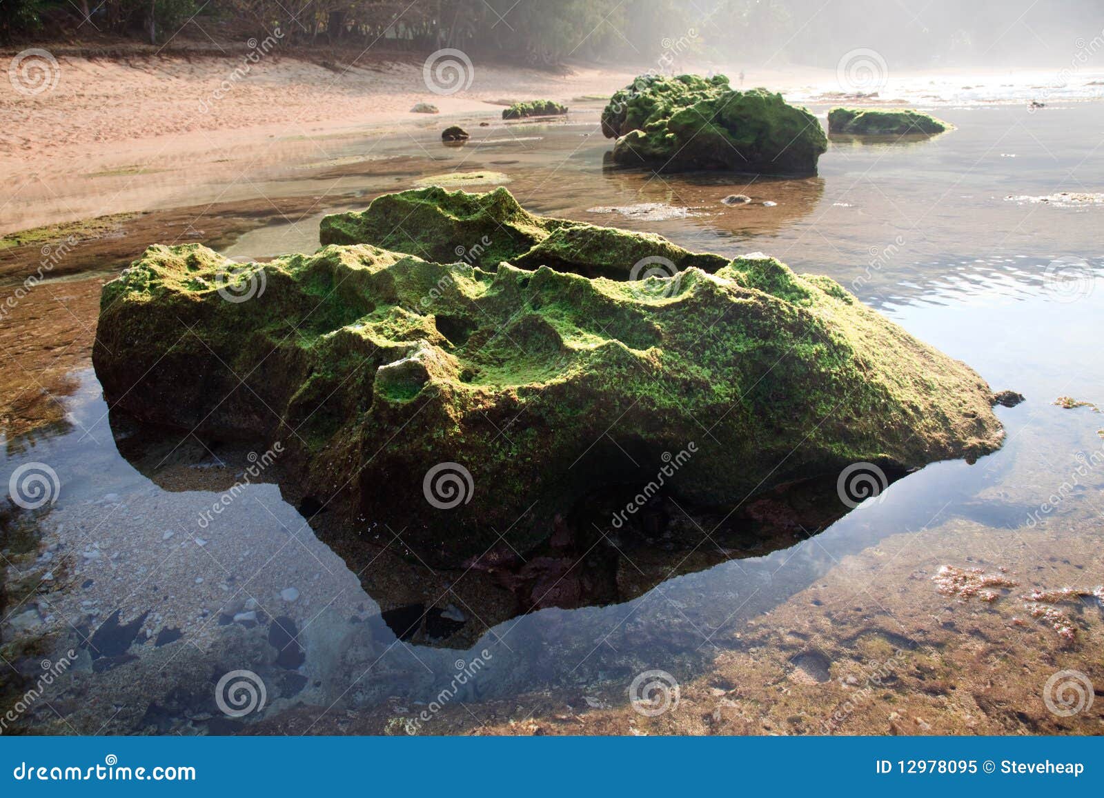 Moss Covered Rock Reflected in Pool Stock Image - Image of moss, rocks ...