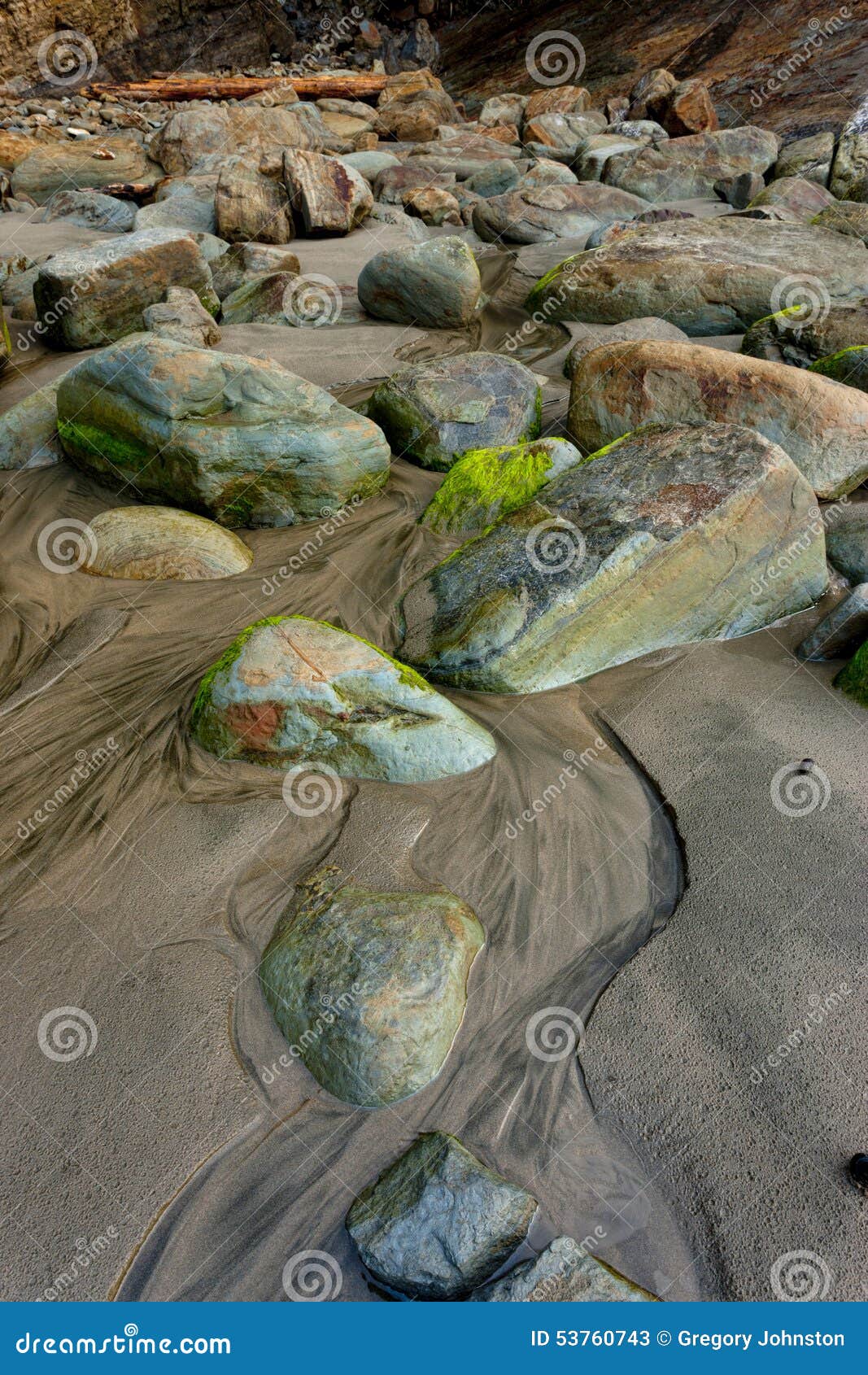 Moss Covered Rocks on Beach. Stock Image - Image of otter, landscape ... Moss Covered Rocks on Beach. Stock Image - Image of otter, landscape ...