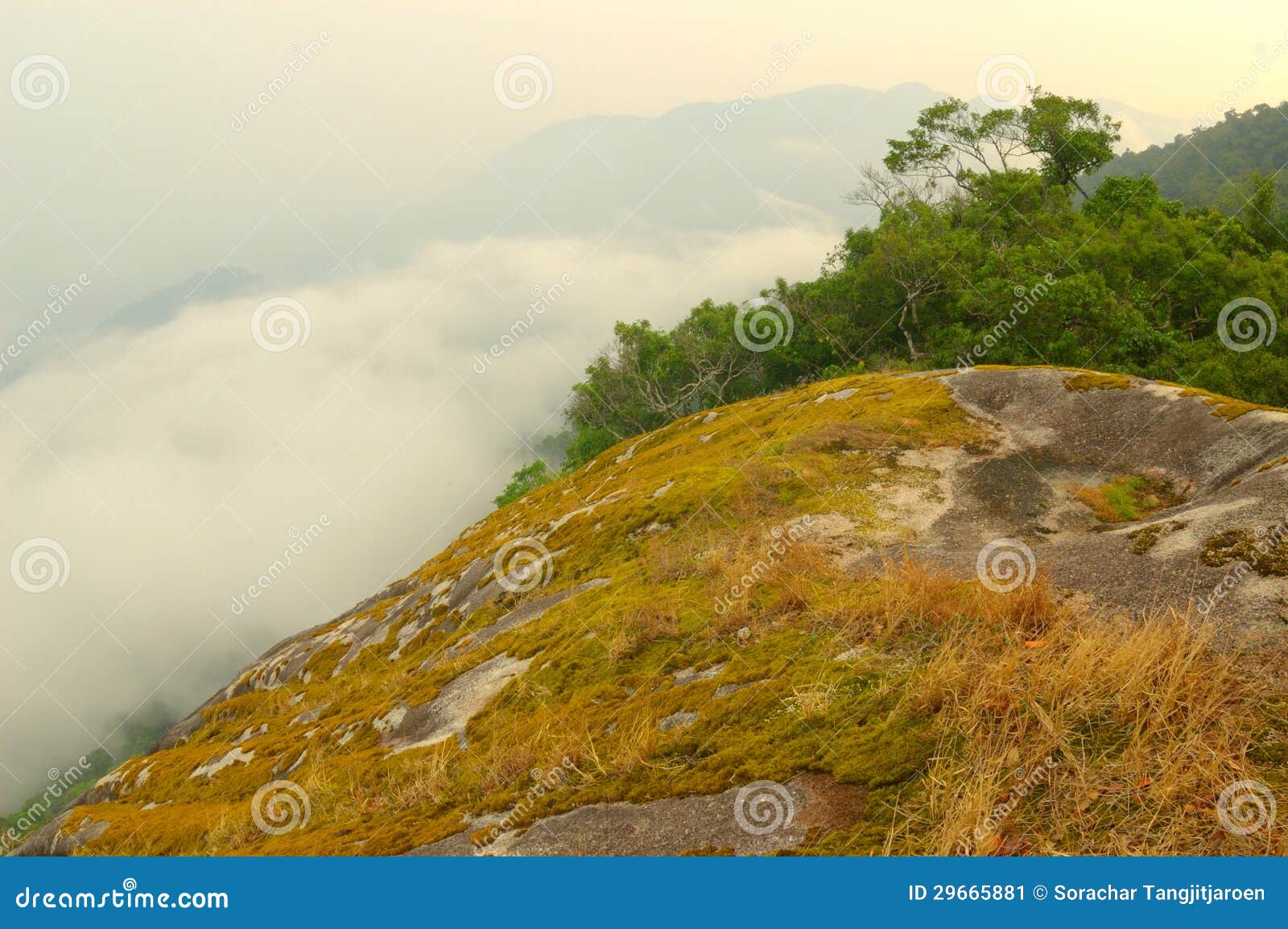 Moss-covered Rocks in High Cliffs in the Rainforest. Stock Image ...
