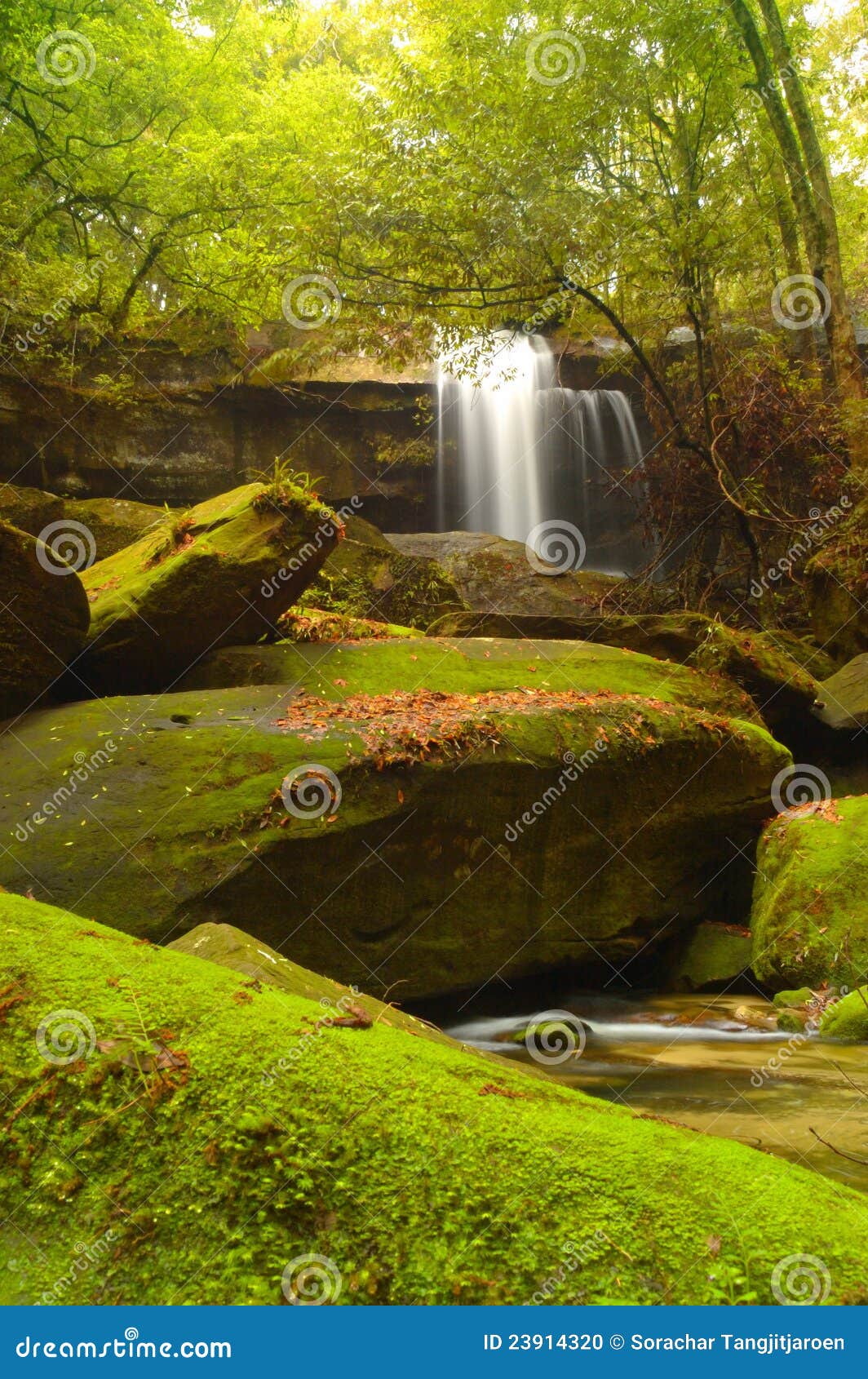 Moss-covered Rocks Near Wallter Fall. Stock Photo - Image of peaceful ...