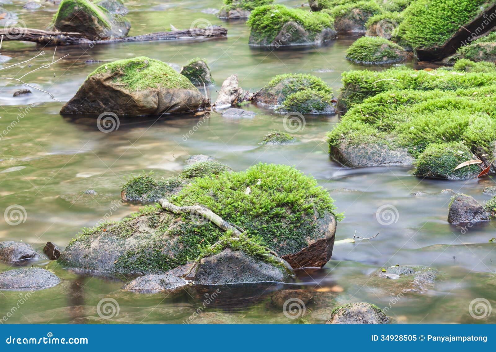 Moss Covered Rocks in River Stock Image - Image of leaf, nature: 34928505