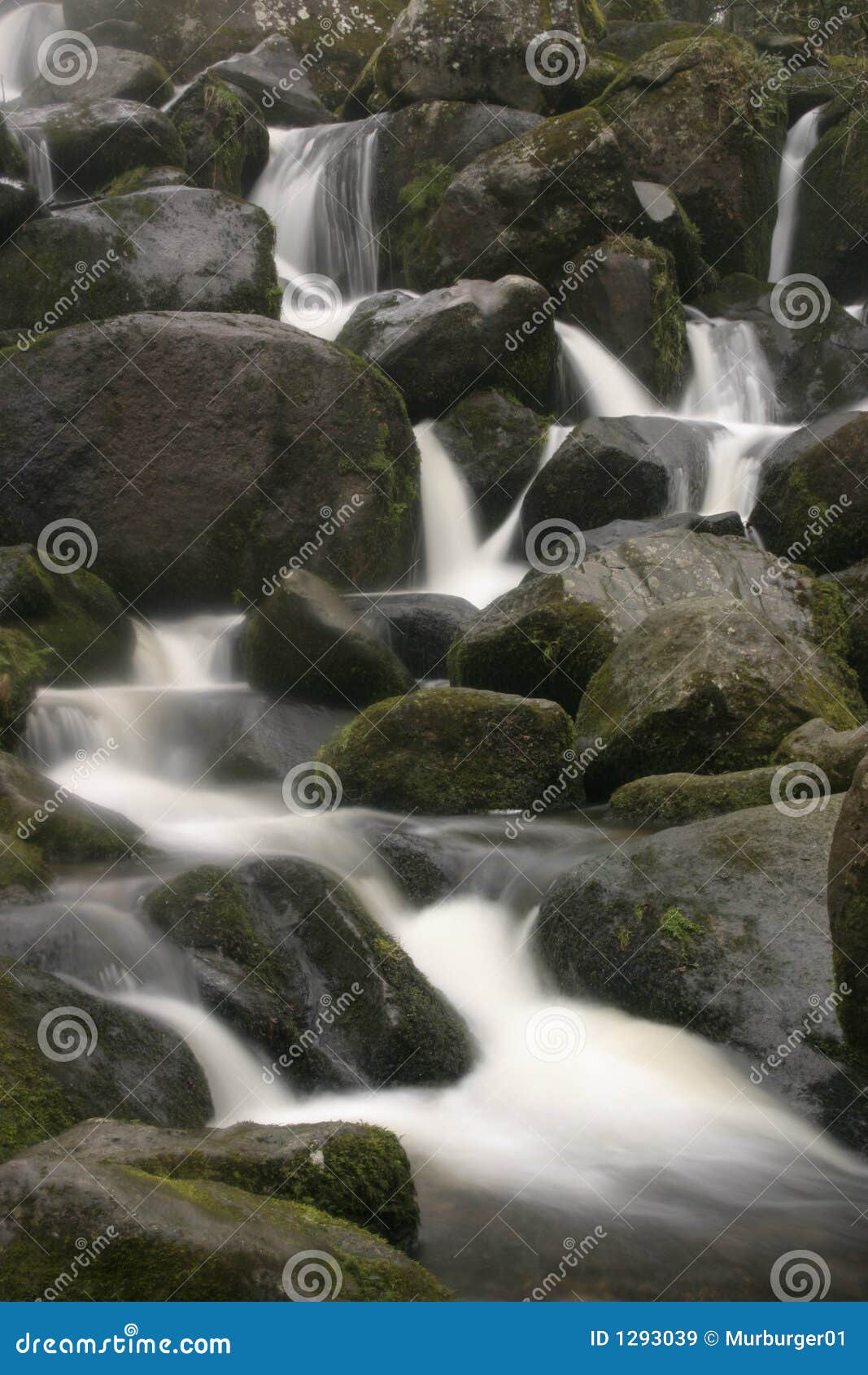 Moss Covered Rocks and Water Stock Image - Image of england, forest ...