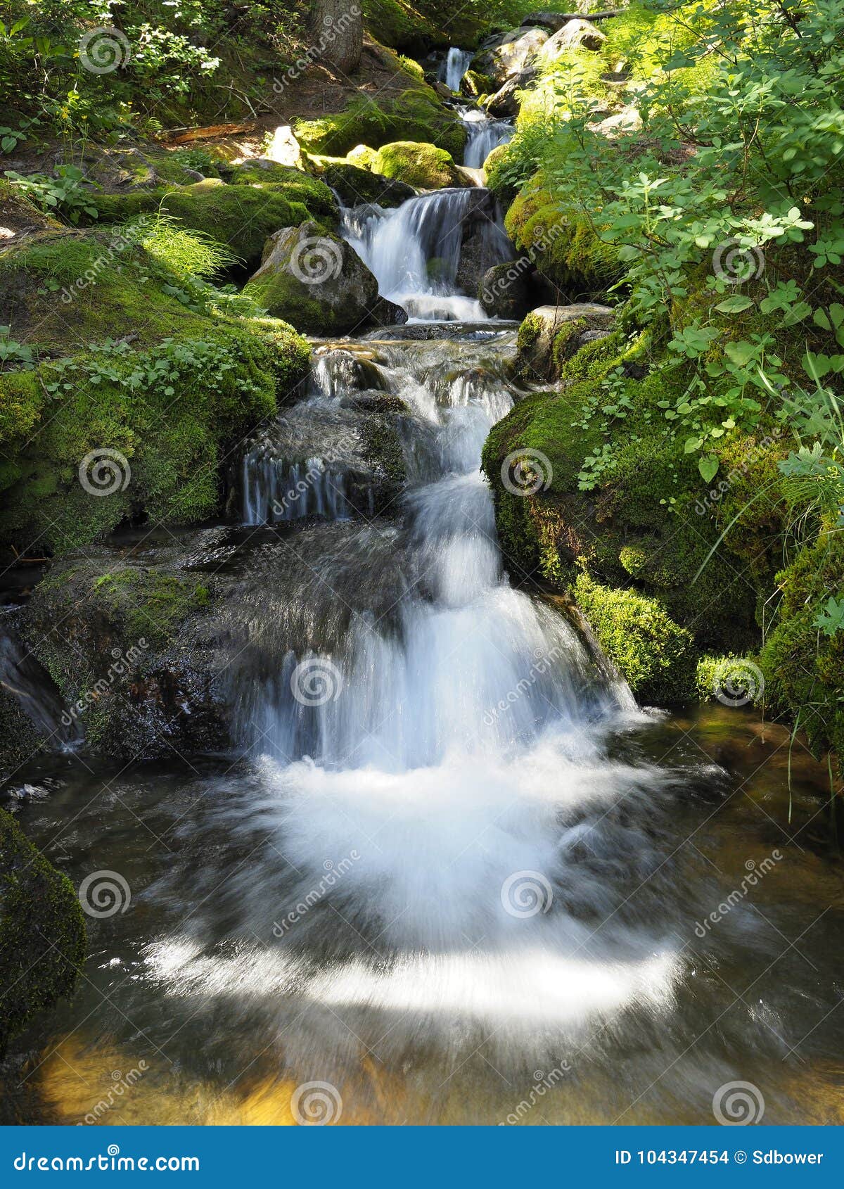 Moss Covered Rocky Stream and Waterfall, Banff National Park, Stock ...