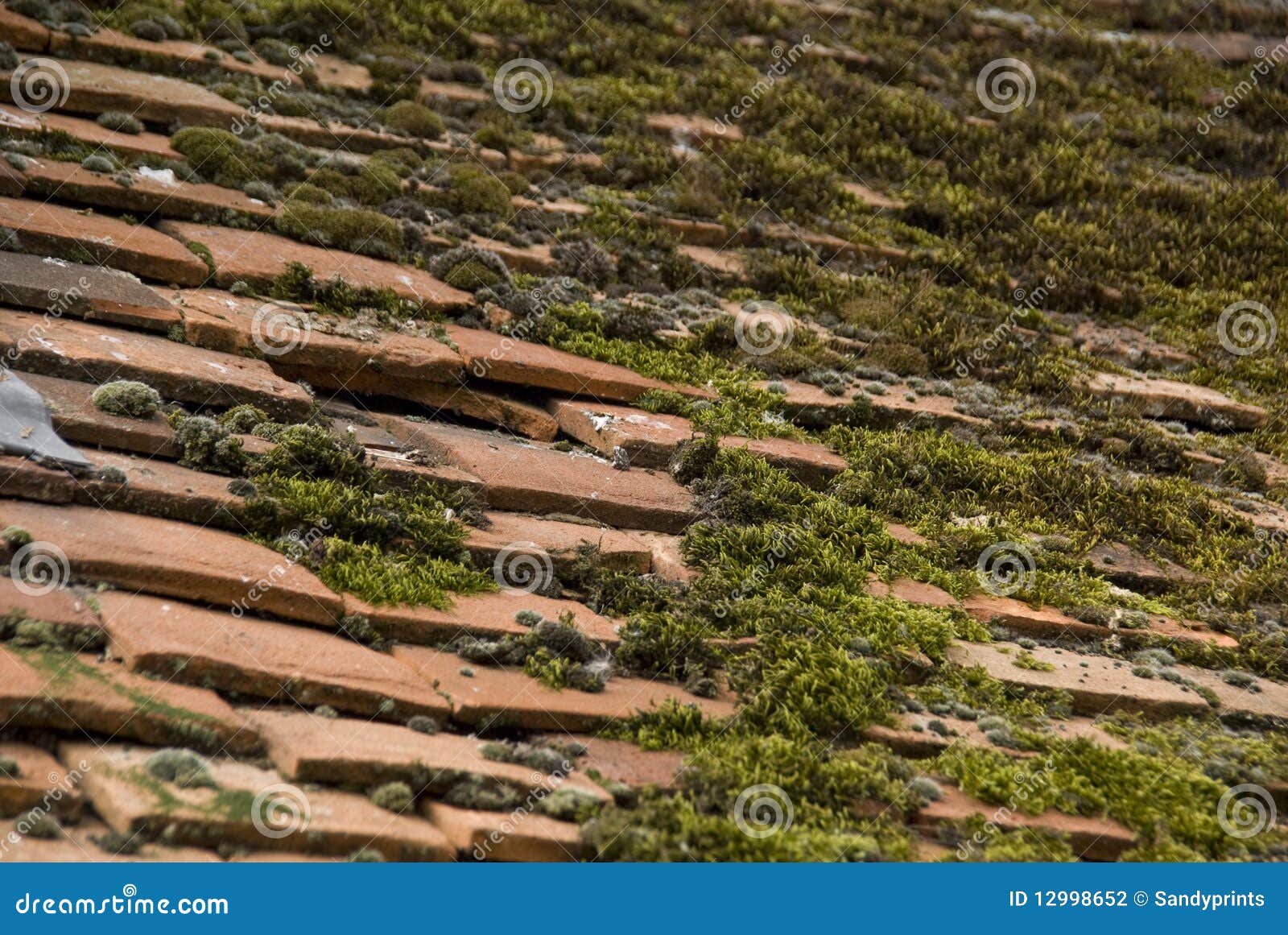 Moss covered roof tiles. stock photo. Image of scaffold - 12998652