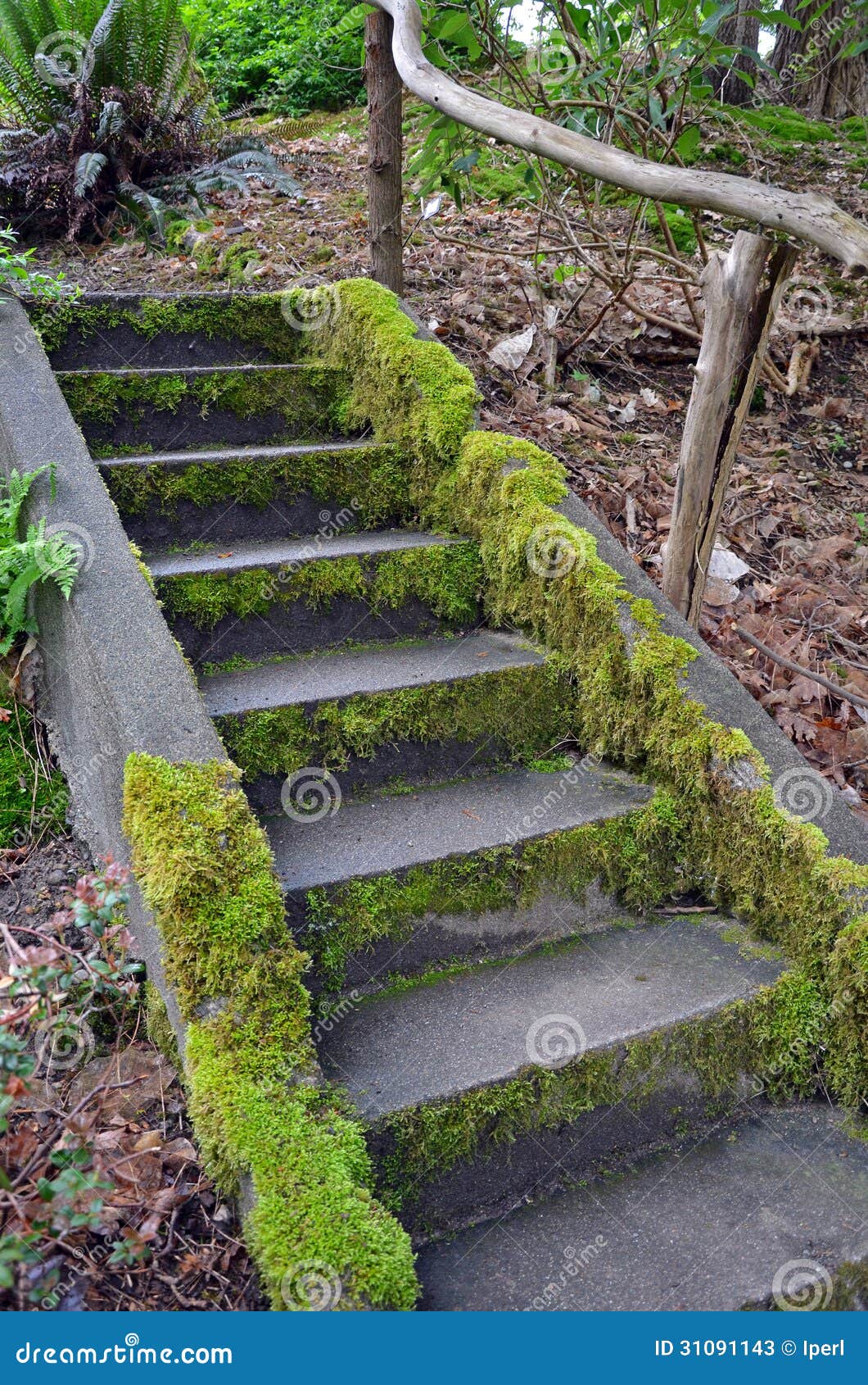Moss Covered Stairs in Garden Stock Image - Image of stairs, granite ...