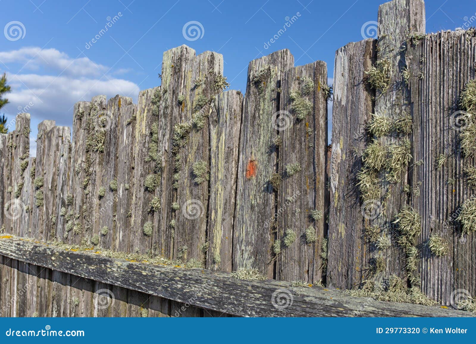 Moss Covered Stockade Fence Background or Backdrop Stock Photo - Image ...