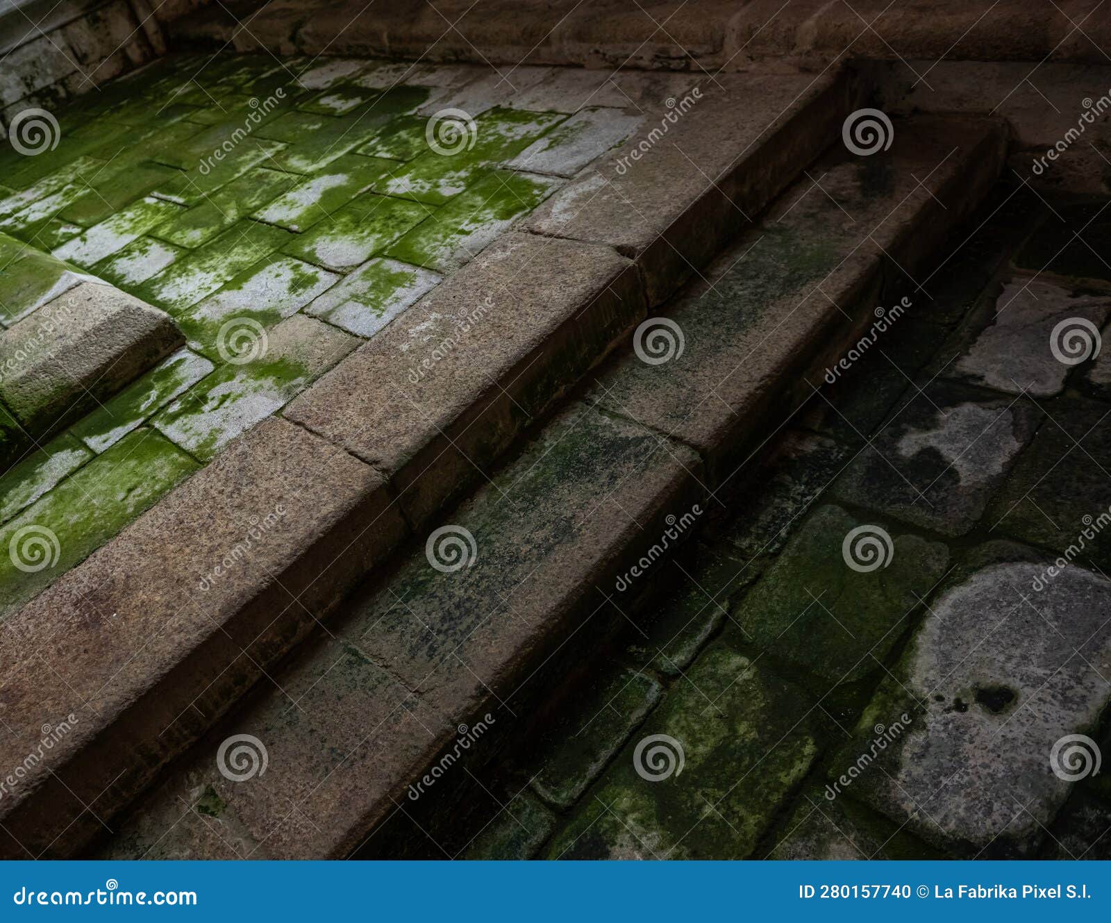Moss covered stone floor stock photo. Image of covered - 280157740
