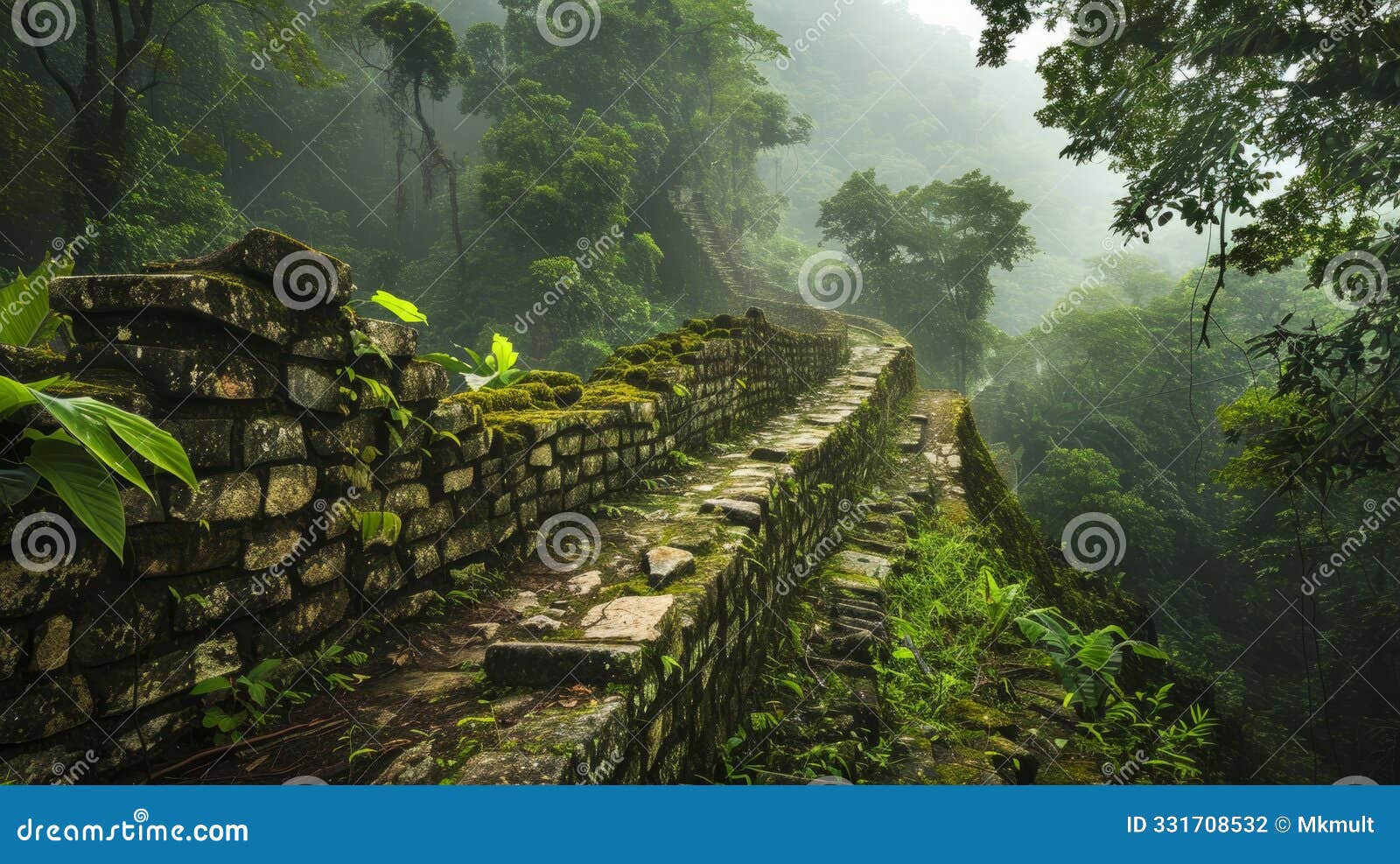 Overgrown Stone Path in Lush Jungle Ruins during Foggy Morning Stock ...