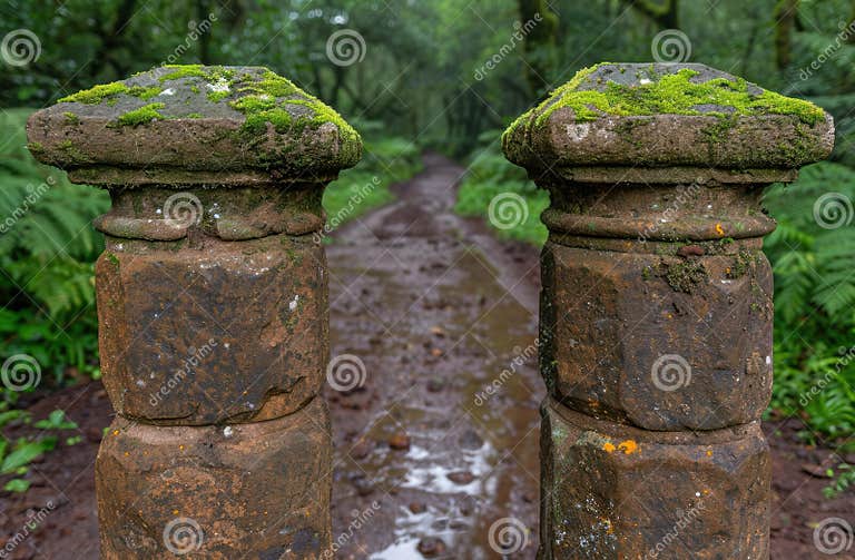 Moss-covered Stone Pillars in Lush Green Forest Stock Illustration ...