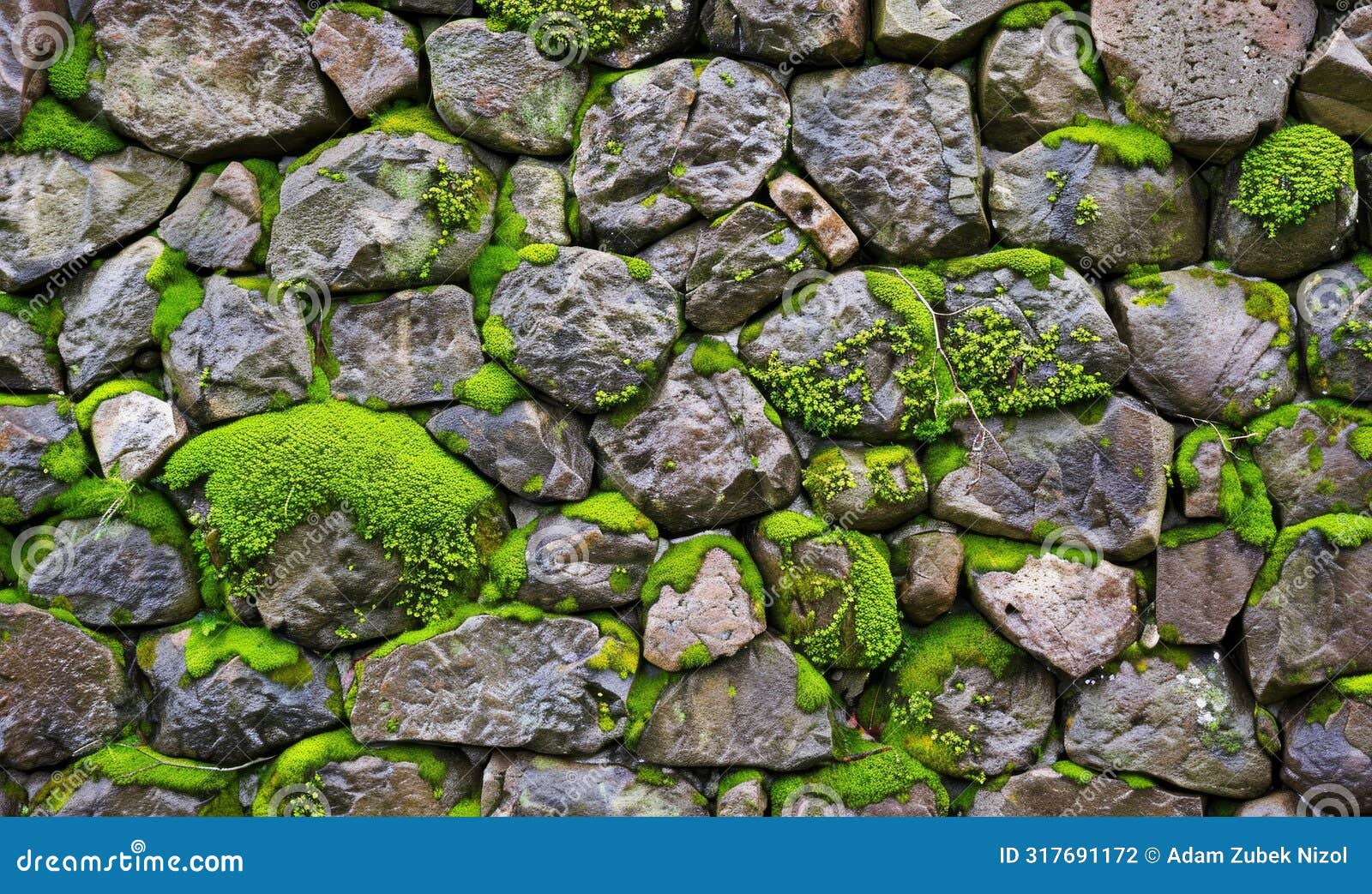 Moss-covered Stone Wall in a Lush, Natural Setting Stock Illustration ...
