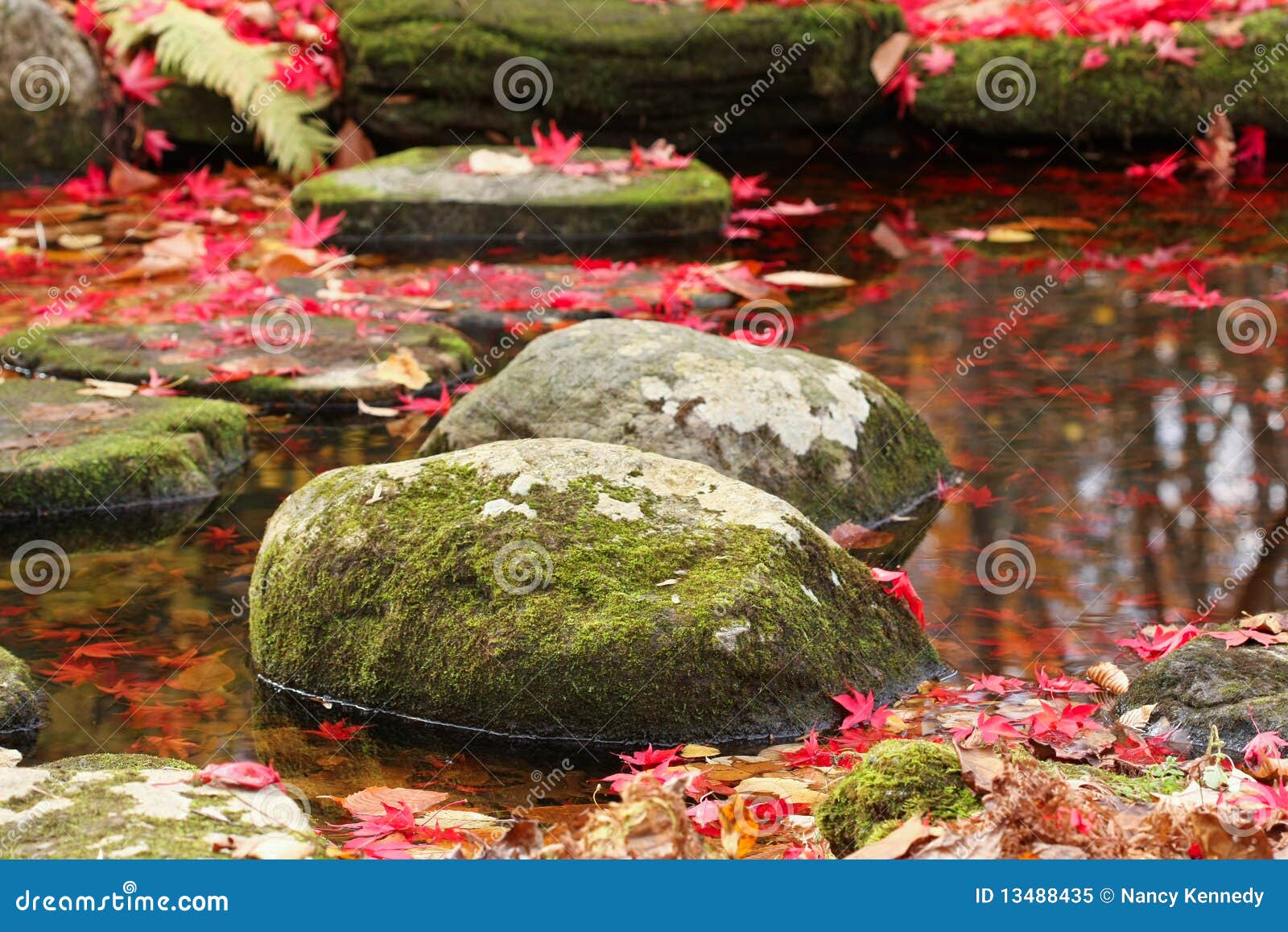 Moss Covered Stones stock image. Image of stepping, fall - 13488435
